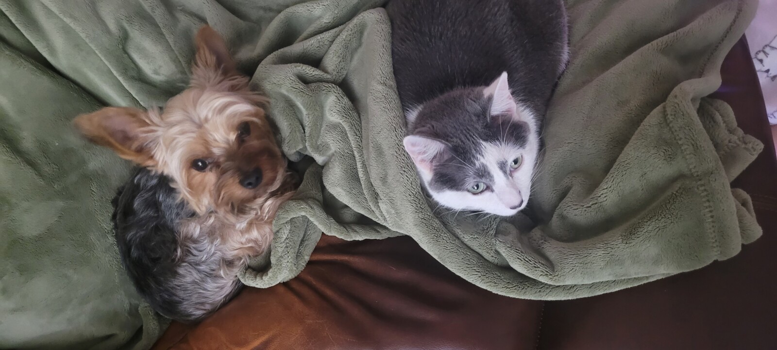 Eletta's University of Nebraska Roommate Profile | Roomsurf